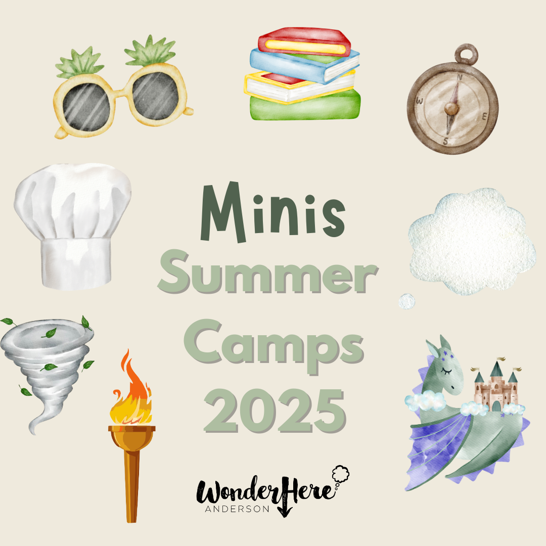 Minis Summer Camp Bundle | WonderHere Anderson